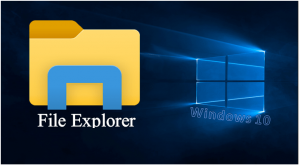 Trabajar con el Explorador de archivos en Windows 10 — How To Fix Guide