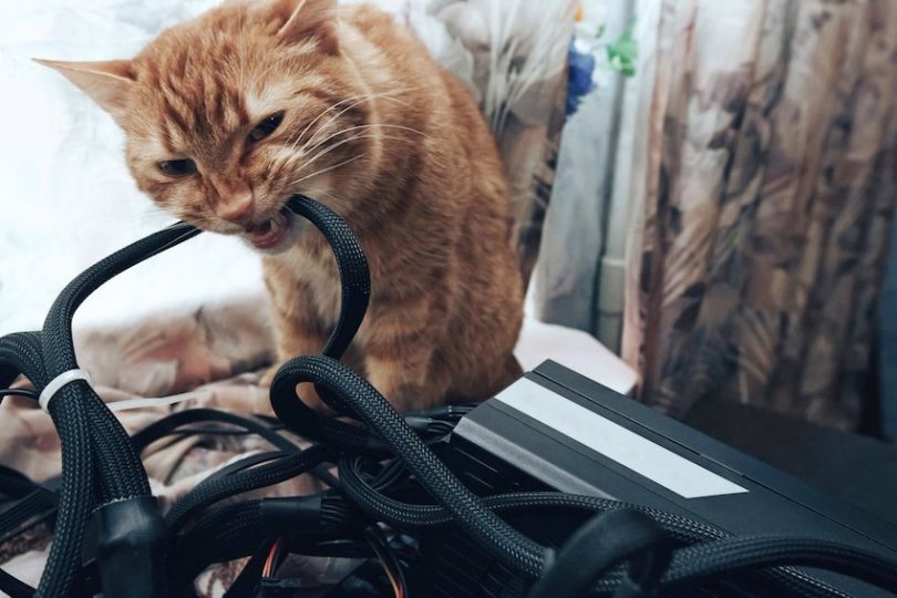 ¿Cómo arreglar mi micrófono? — How To Fix Guide