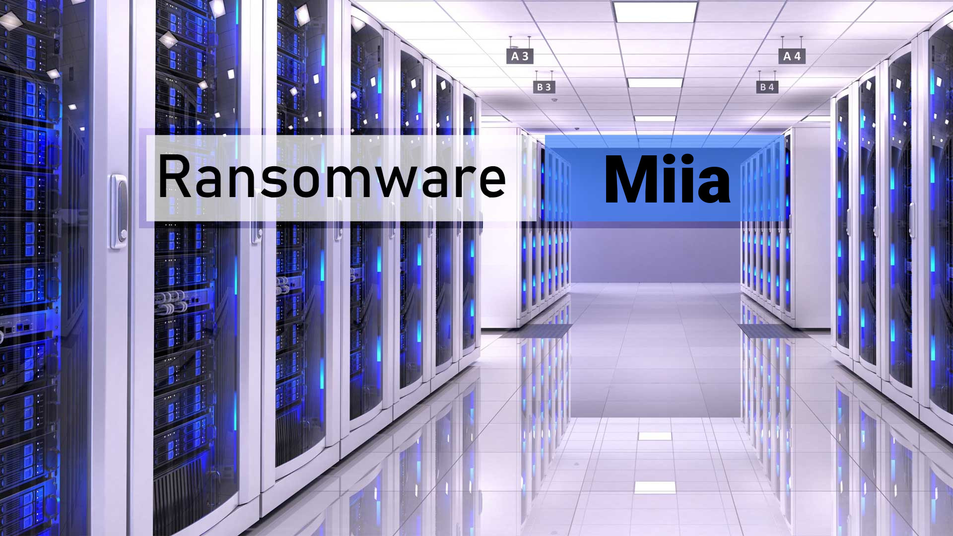 Miia Virus ️ (archivo .miia) — HERRAMIENTA DE DESCRITO Y DESMONTAJE