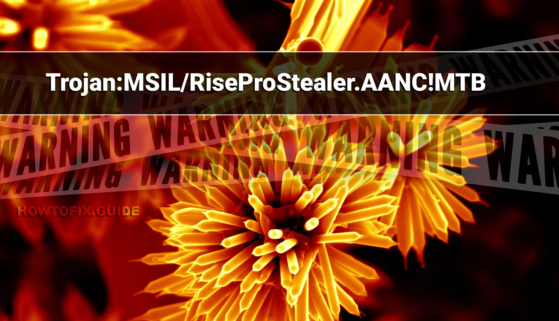 Trojan:MSIL/RiseProStealer.AANC!MTB Trojan RisePro Stealer Eliminación
